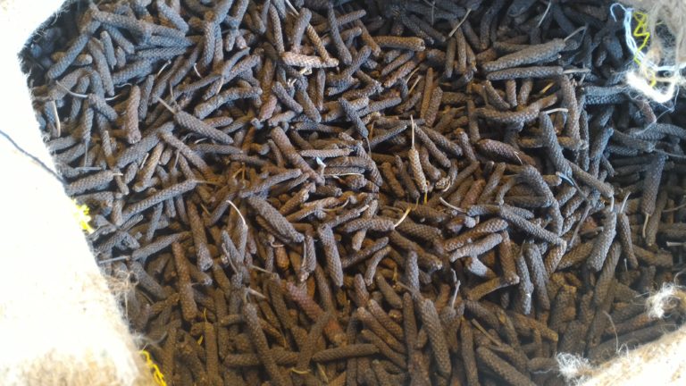 Long Pepper Where To Buy - Commodity Export
